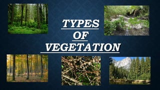PPT - Natural Vegetation and Wildlife.PPTX