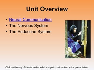 AP Psychology unit 2: Biological Basis of Psychology Neural Pathways.ppt