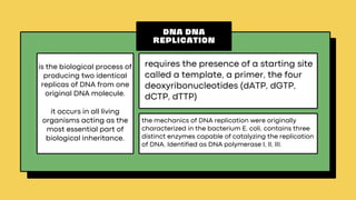 ppt-ni-beaclaire-educational present.pdf