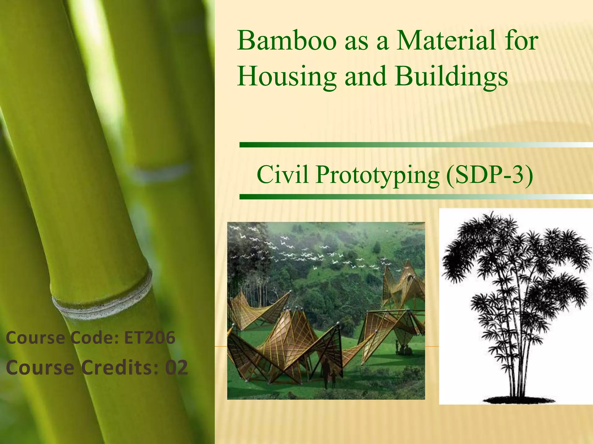 ppt-on-bamboo.pptx