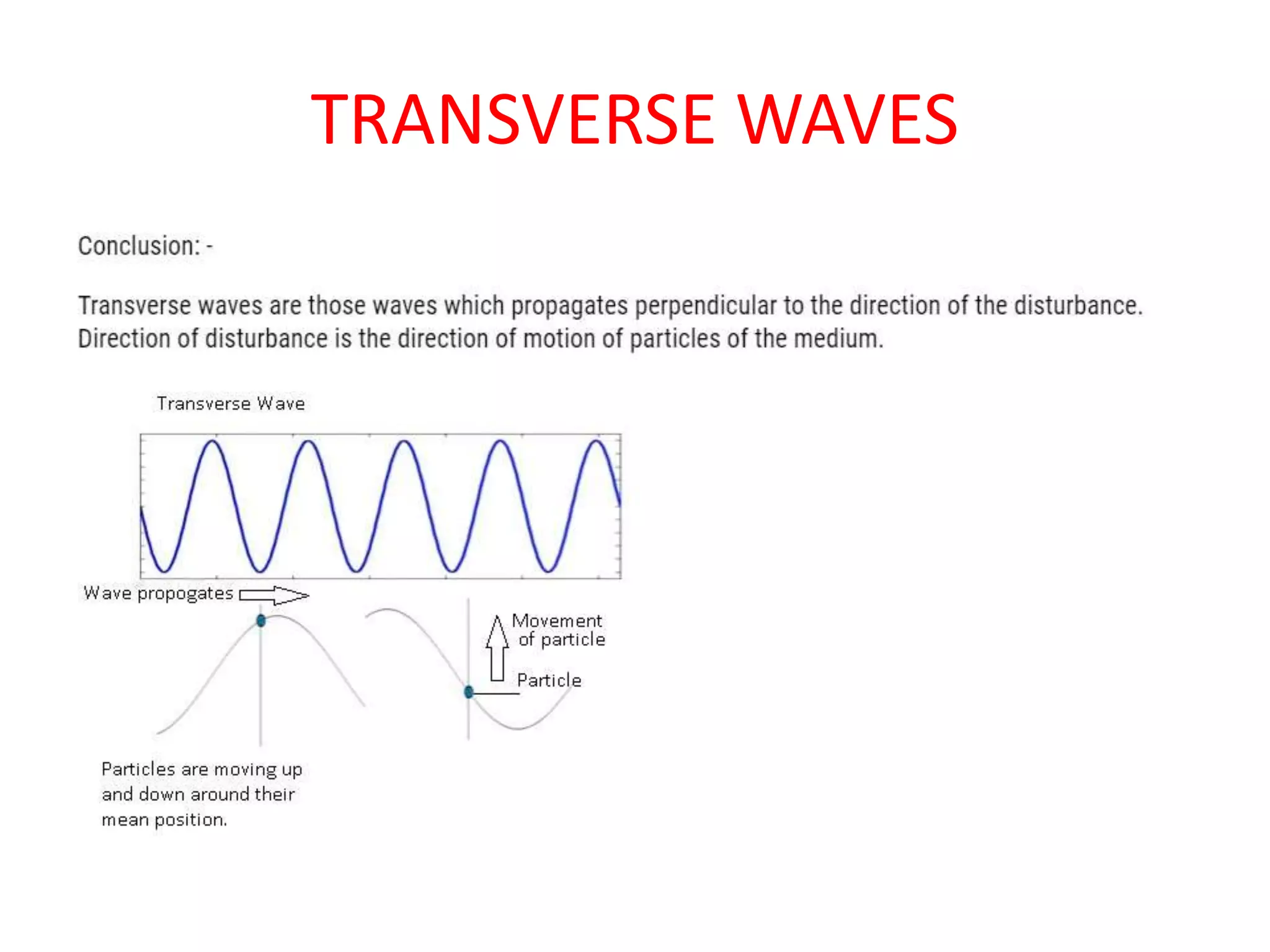 PPT on Waves Class 11 | PPTX