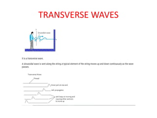 PPT on Waves Class 11 | PPTX
