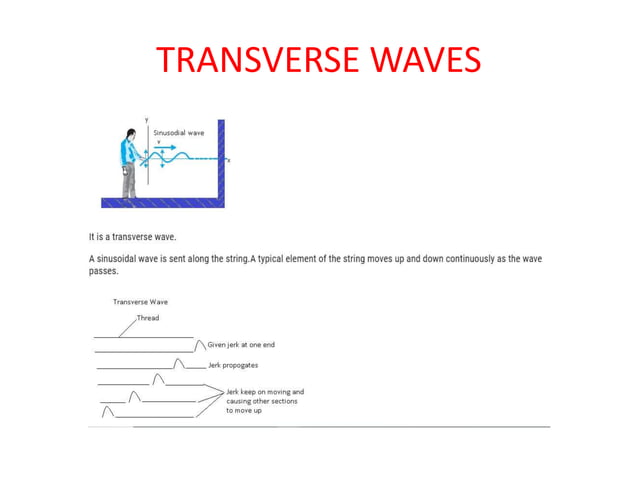 PPT on Waves Class 11 | PPTX