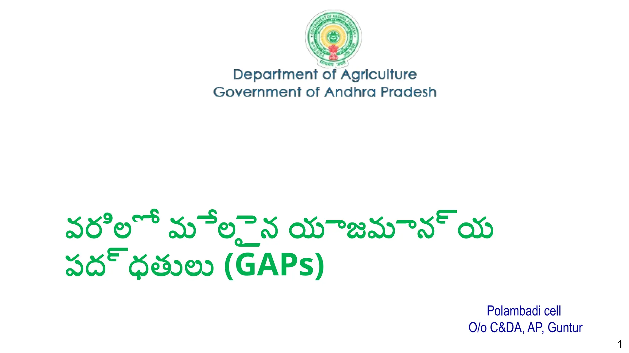 Importanat pests of paddy and its management | PPTX