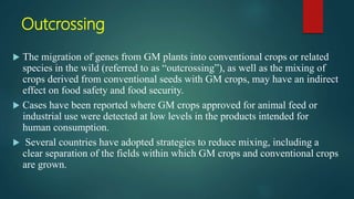 PPT - PAPER 3041.pptx