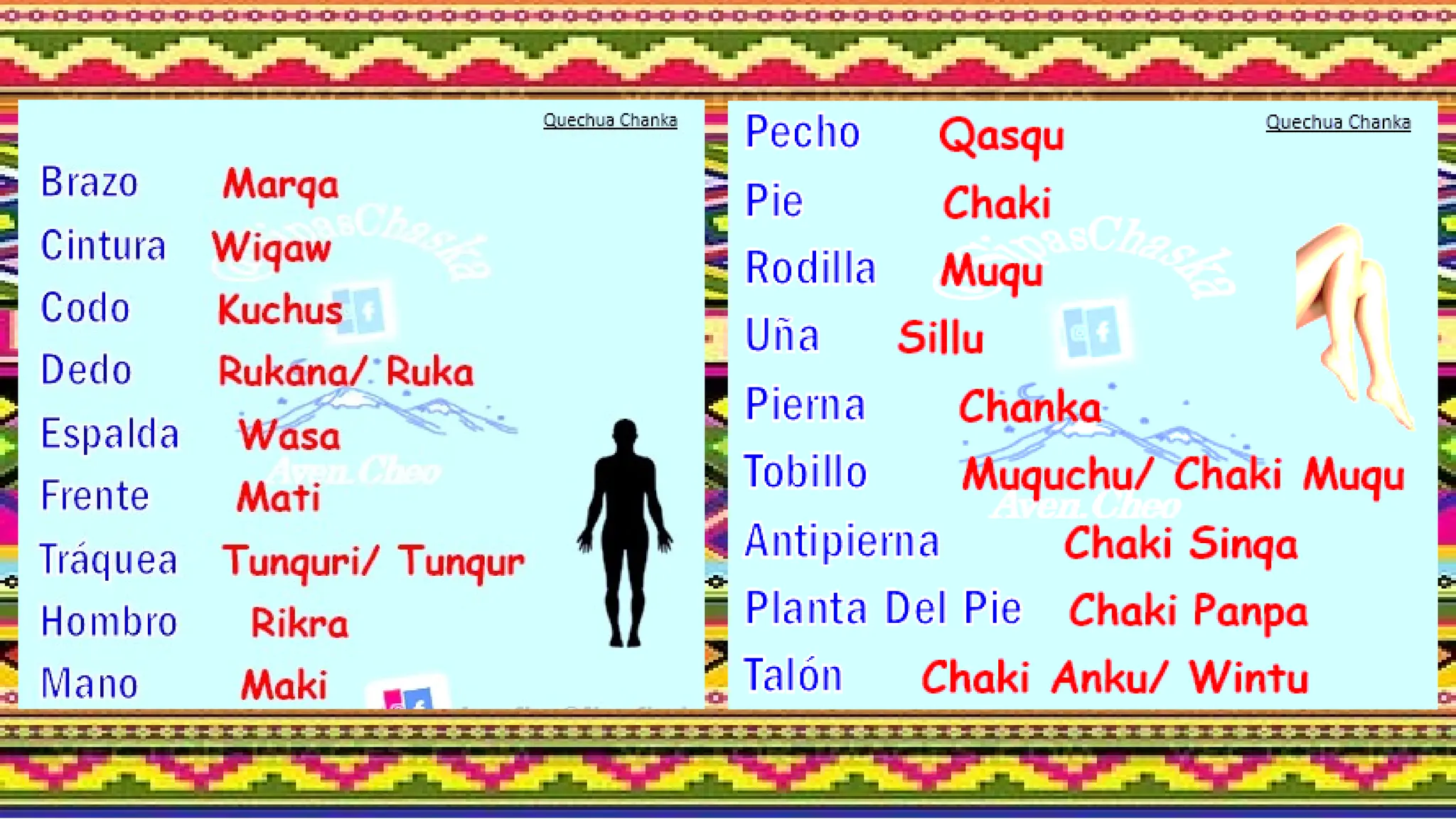 PPT - PARTES DEL CUERPO HUMANO EN QUECHUA - VII CICLO.pptx