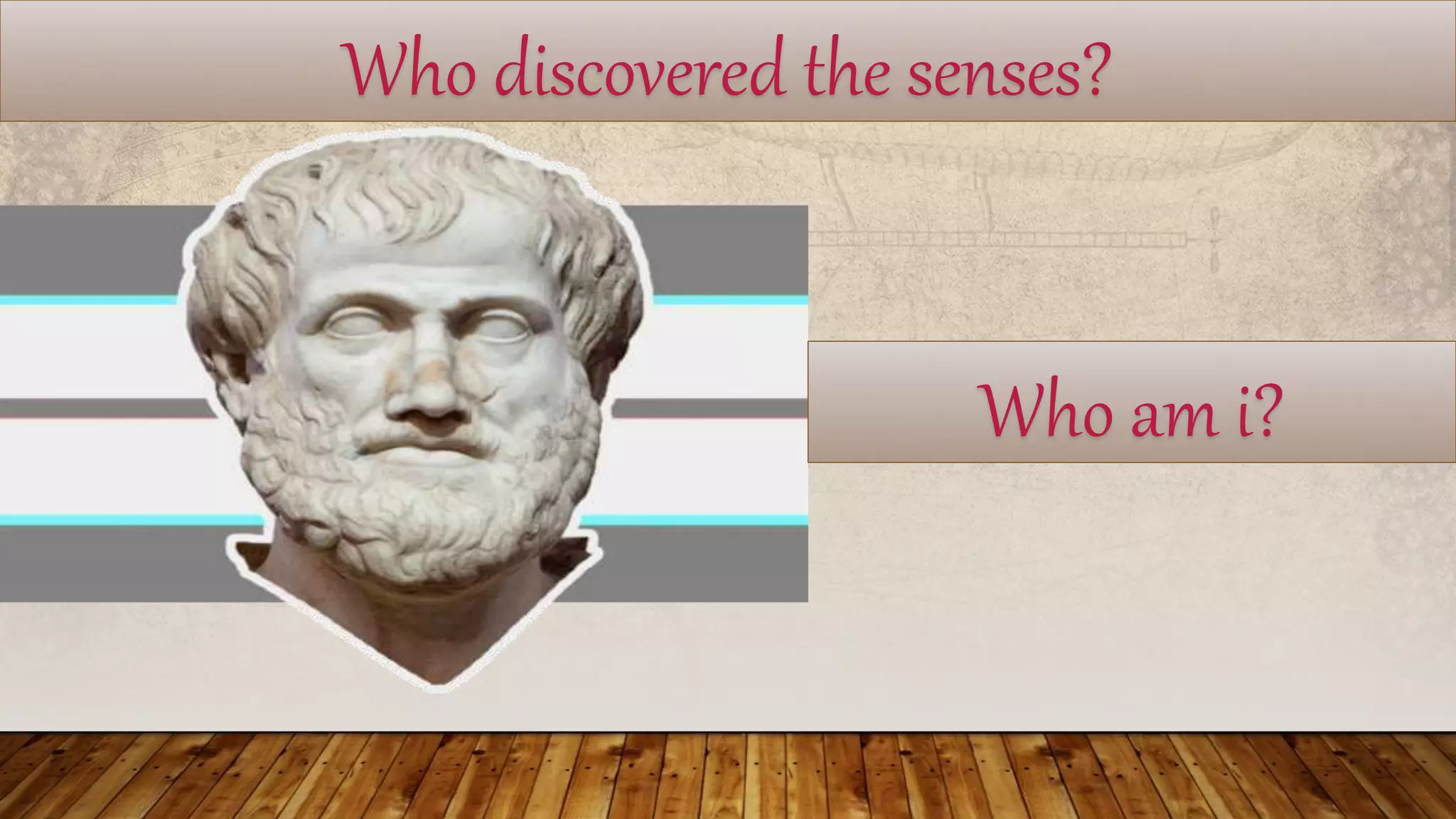 Human has more than 5 senses? what is the "Sixth sense". | PPT | Free ...