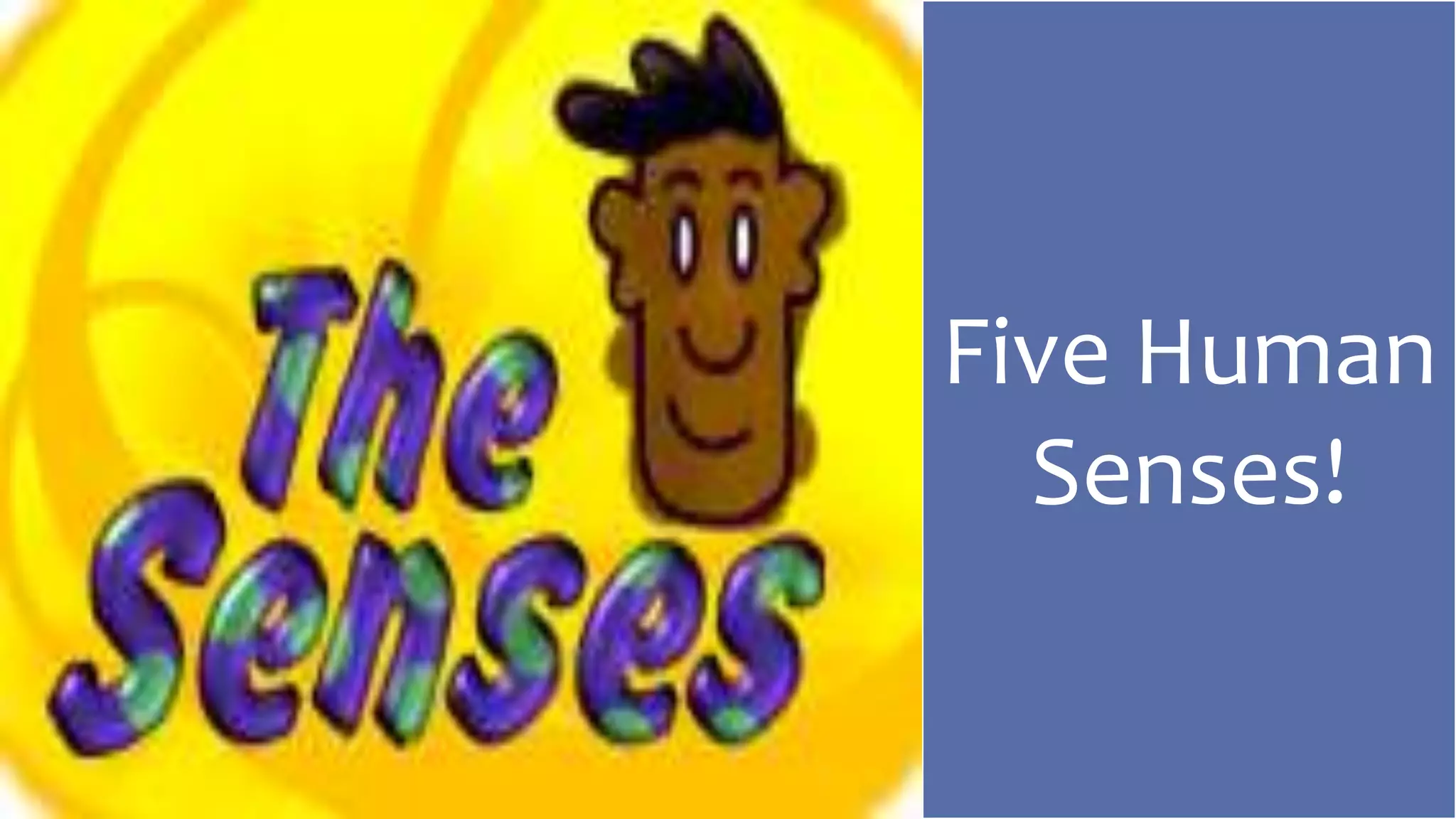 Human has more than 5 senses? what is the "Sixth sense". | PPT | Free ...