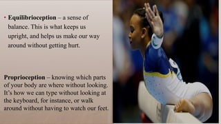 Human has more than 5 senses? what is the "Sixth sense". | PPTX