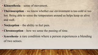 Human has more than 5 senses? what is the "Sixth sense". | PPTX