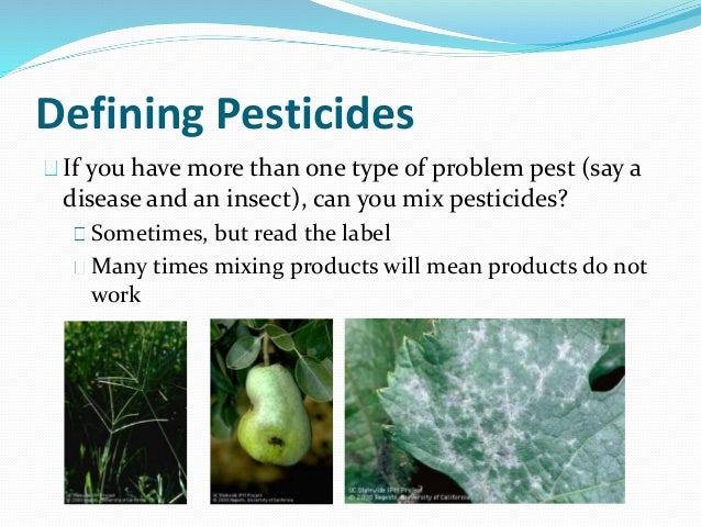 Pesticide Meaning