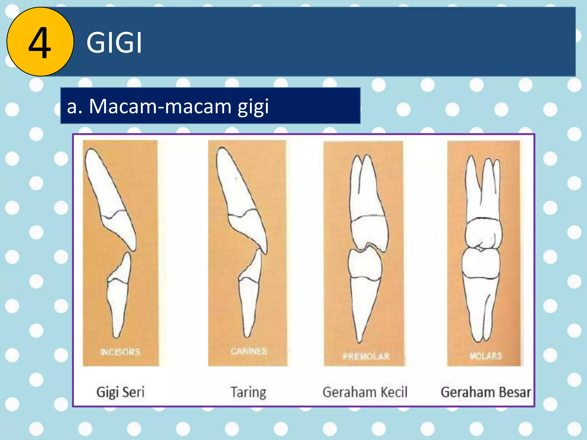 ppt-pelatihan-kader.pptx