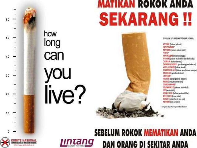 PPT-Penyuluhan-Rokok.pptx