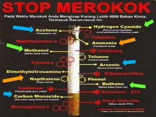 PPT-Penyuluhan-Rokok.pptx