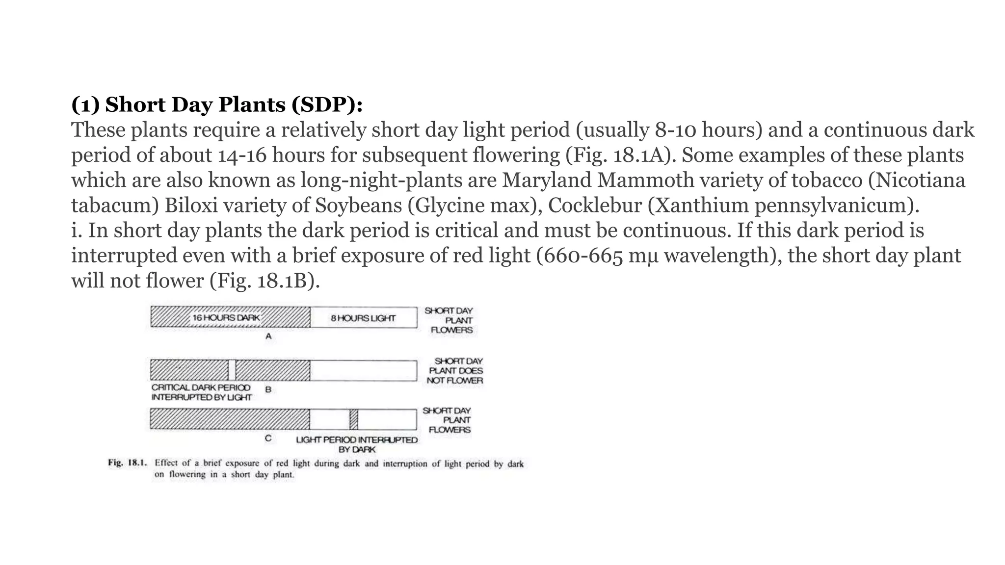 photoperiodism | PPTX