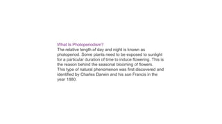 photoperiodism | PPTX