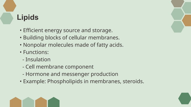 ppt-physical science-macromolecules.pptx