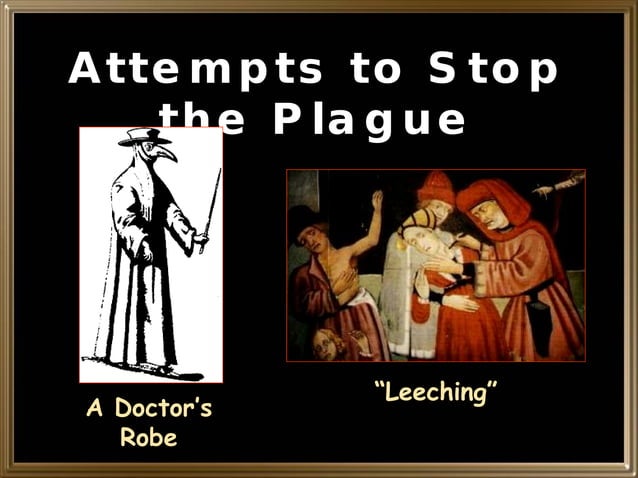 Plague And Hundred Years War | PPT