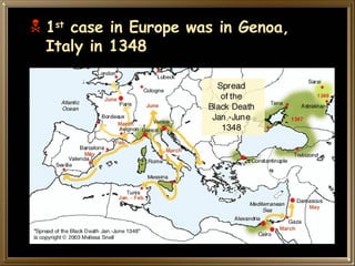 Plague And Hundred Years War | PPT