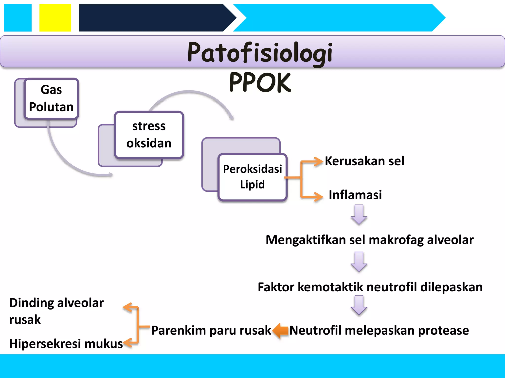 PPT-PPOK.pptx