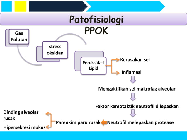PPT-PPOK.pptx