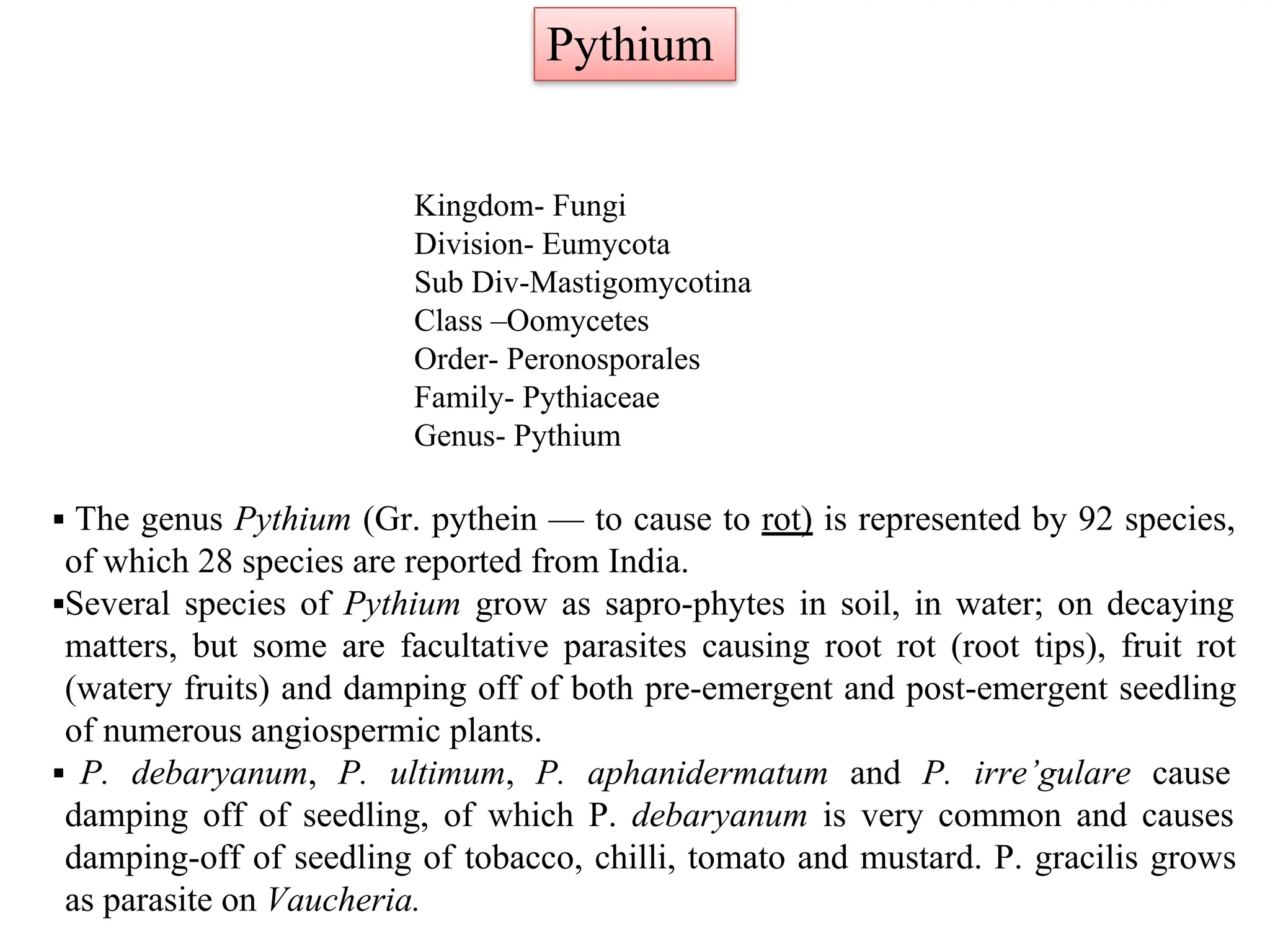 PPT-Presentation-for-B.Sc_.-I-Life-Cycle-of-Pythium (1).pdf