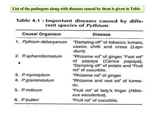 PPT-Presentation-for-B.Sc_.-I-Life-Cycle-of-Pythium (1).pdf