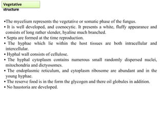 PPT-Presentation-for-B.Sc_.-I-Life-Cycle-of-Pythium (1).pdf