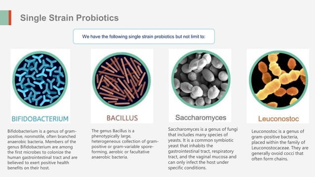 probiotics | PPT