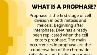 PPT-PROPHASE-SCIENCE-7-GROUP-2 topic.pptx