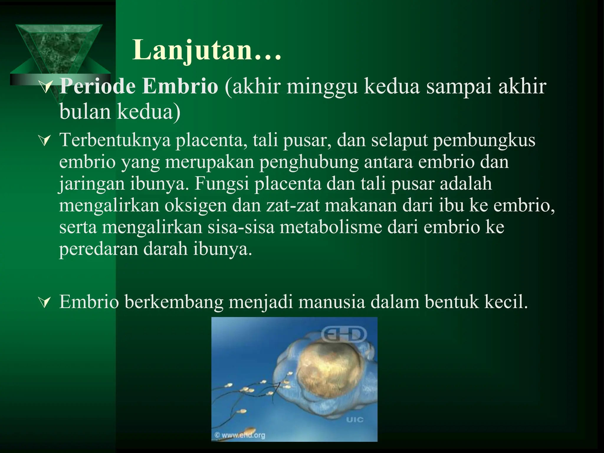 ppt-psikologi-perkembangan (ppt-psikologi-perkembangan) | PPT