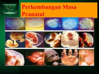 ppt-psikologi-perkembangan (ppt-psikologi-perkembangan) | PPT