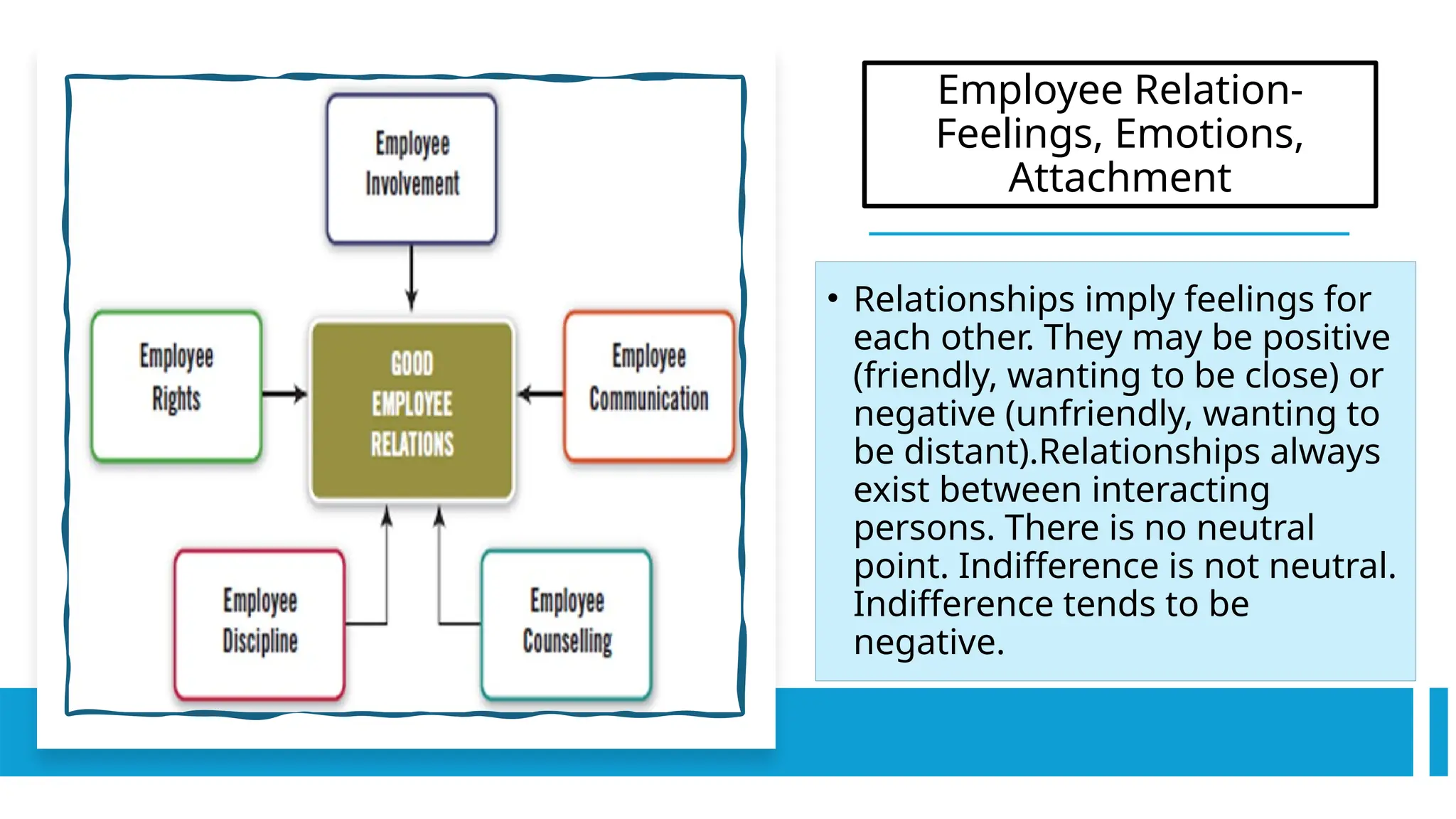 PPT-REPORT Human Resource Management.pptx