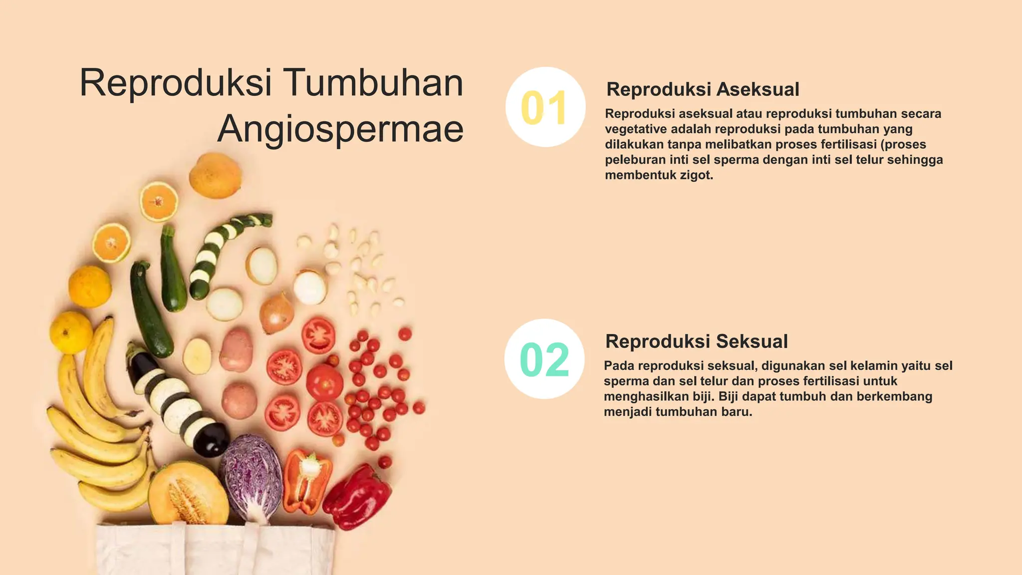 PPT-Reproduksi-pada-Tumbuhan-dan-Hewan.pptx