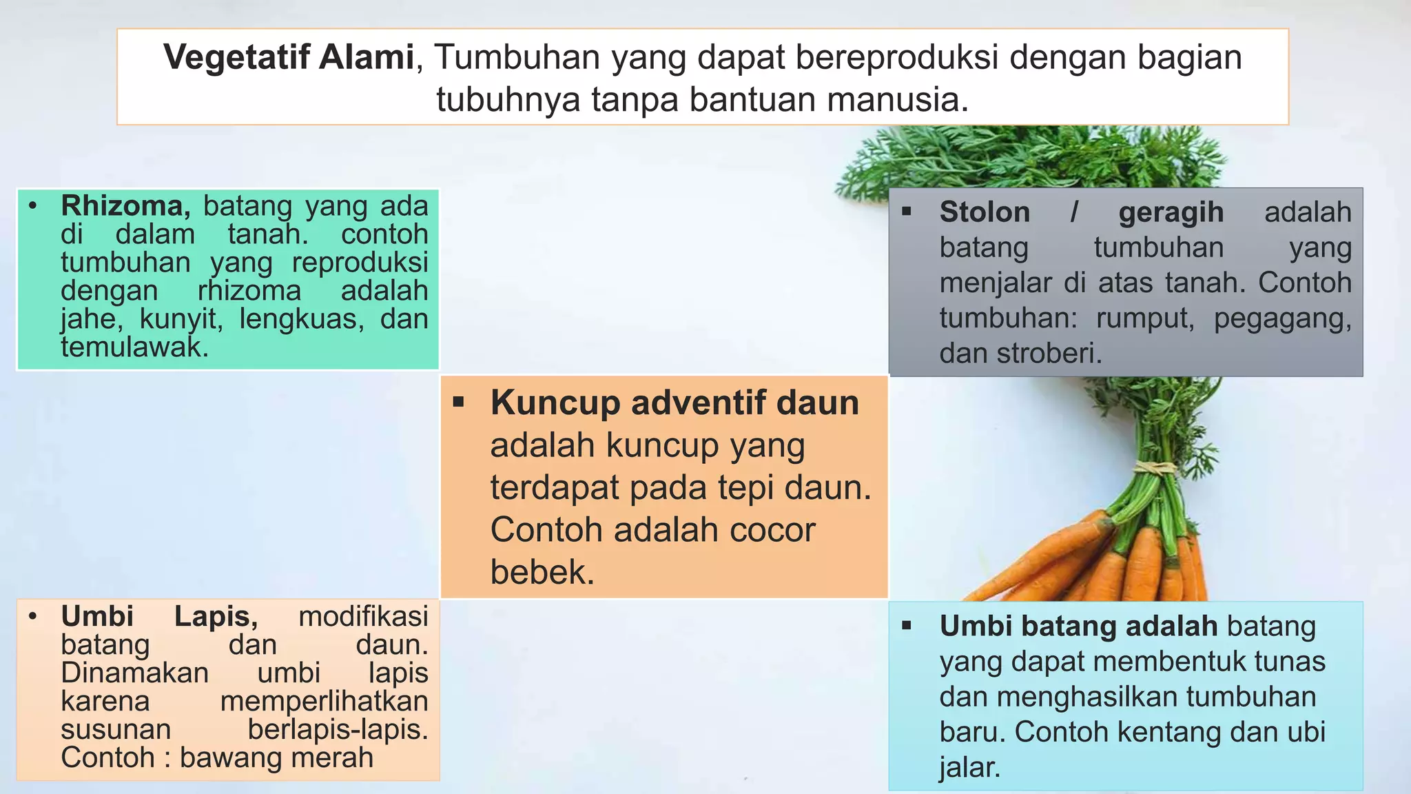 PPT-Reproduksi-pada-Tumbuhan-dan-Hewan (1).pptx