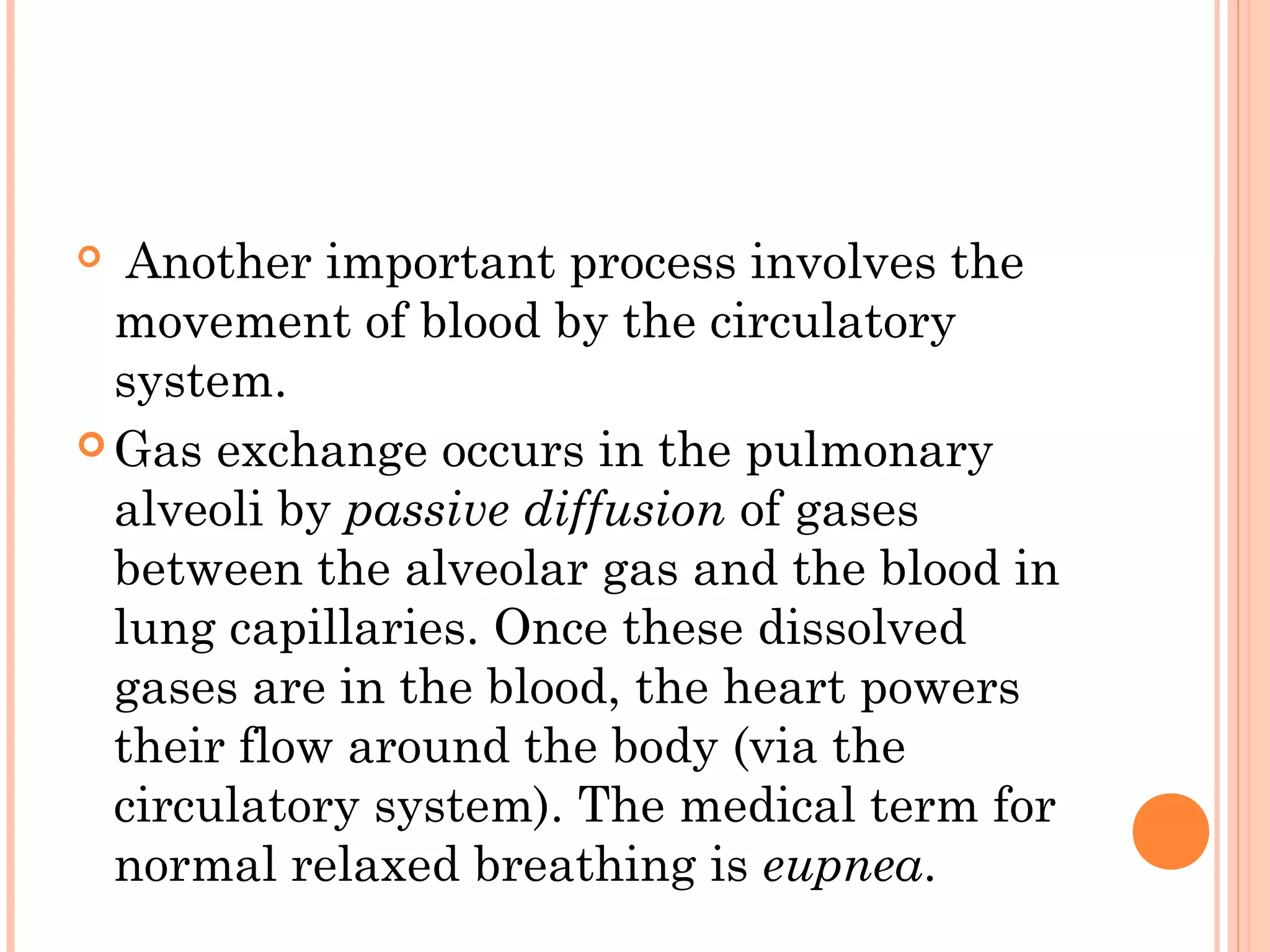 Ppt respiratory system- physiology | POT