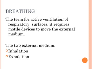 Ppt respiratory system- physiology | POT