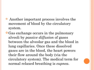 Ppt respiratory system- physiology | POT