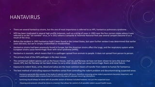 PPT - Rodent biology.pptx