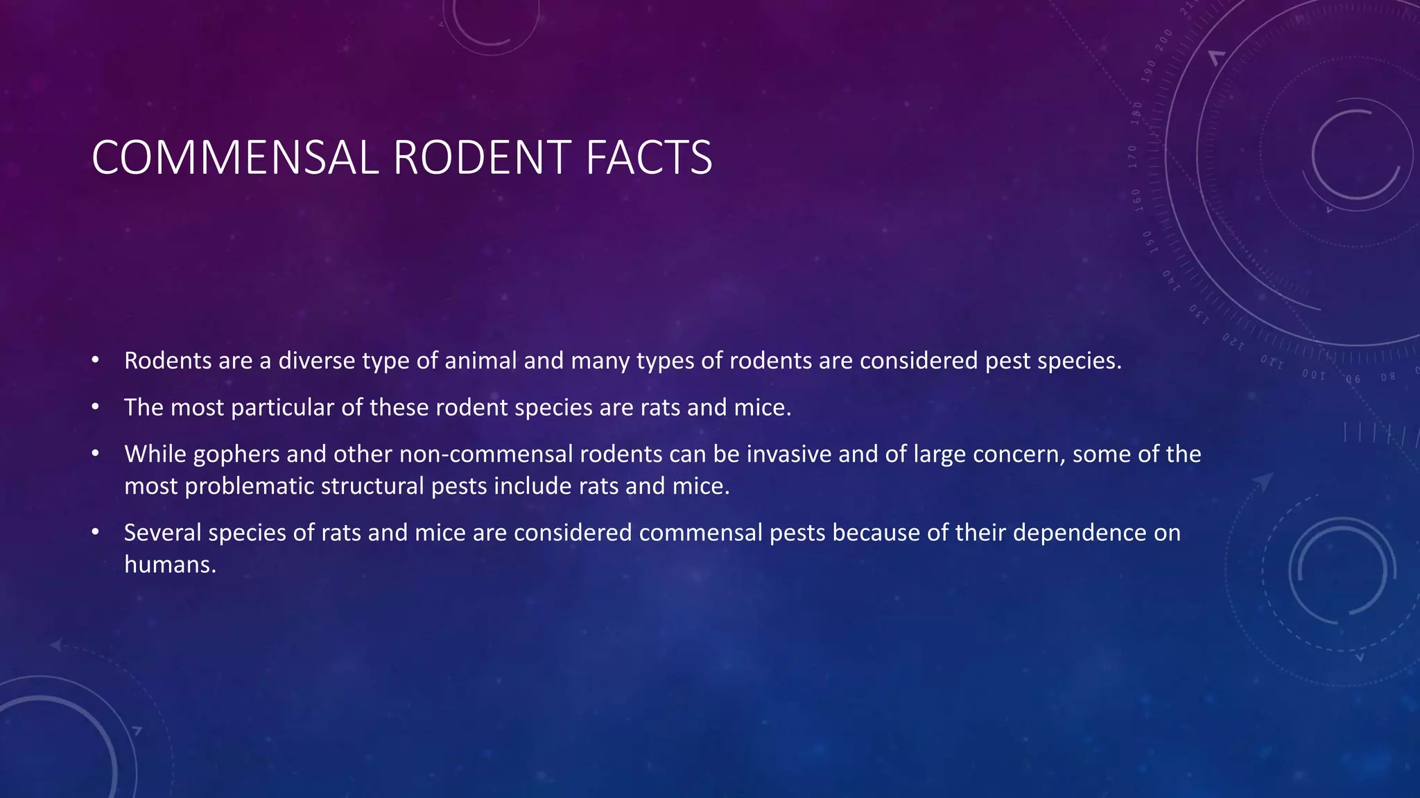 Commensal Rodents | PPTX