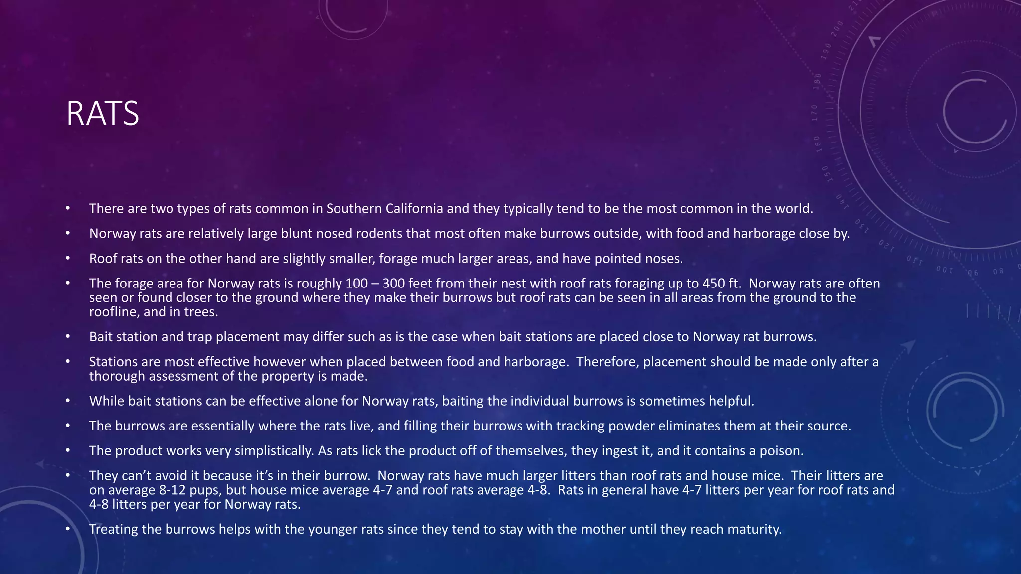 Commensal Rodents | PPTX