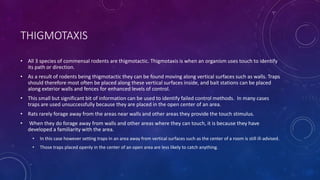 Commensal Rodents | PPTX