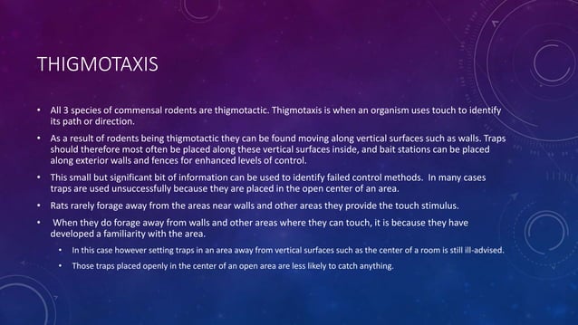 Commensal Rodents | PPTX