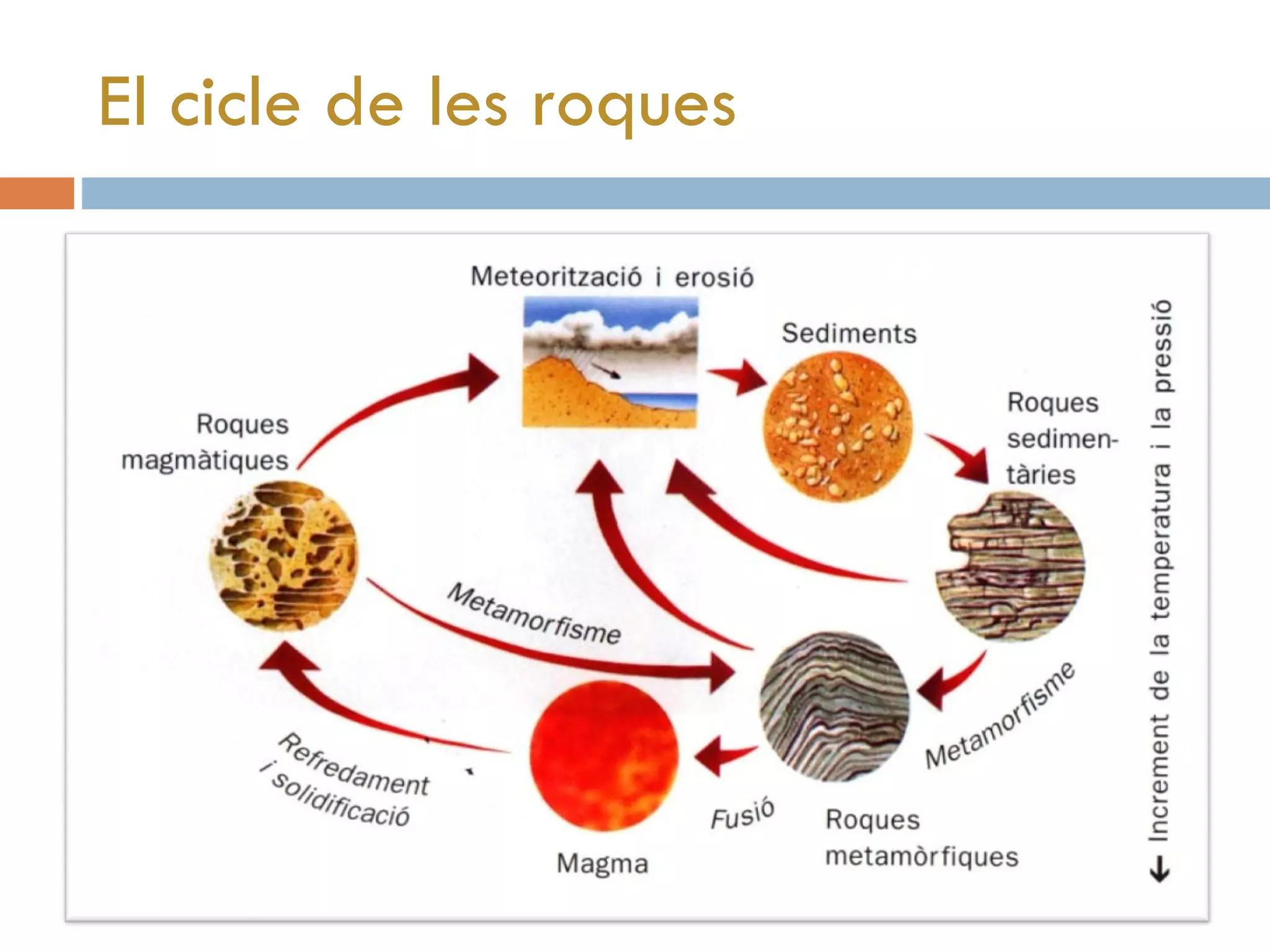 CICLE ROQUES I ROQUES SEDIMENTÀRIES | PPT