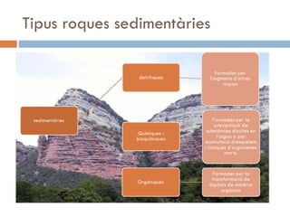 CICLE ROQUES I ROQUES SEDIMENTÀRIES | PPT