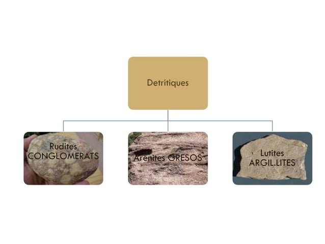 CICLE ROQUES I ROQUES SEDIMENTÀRIES | PPT