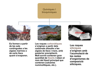 CICLE ROQUES I ROQUES SEDIMENTÀRIES | PPT