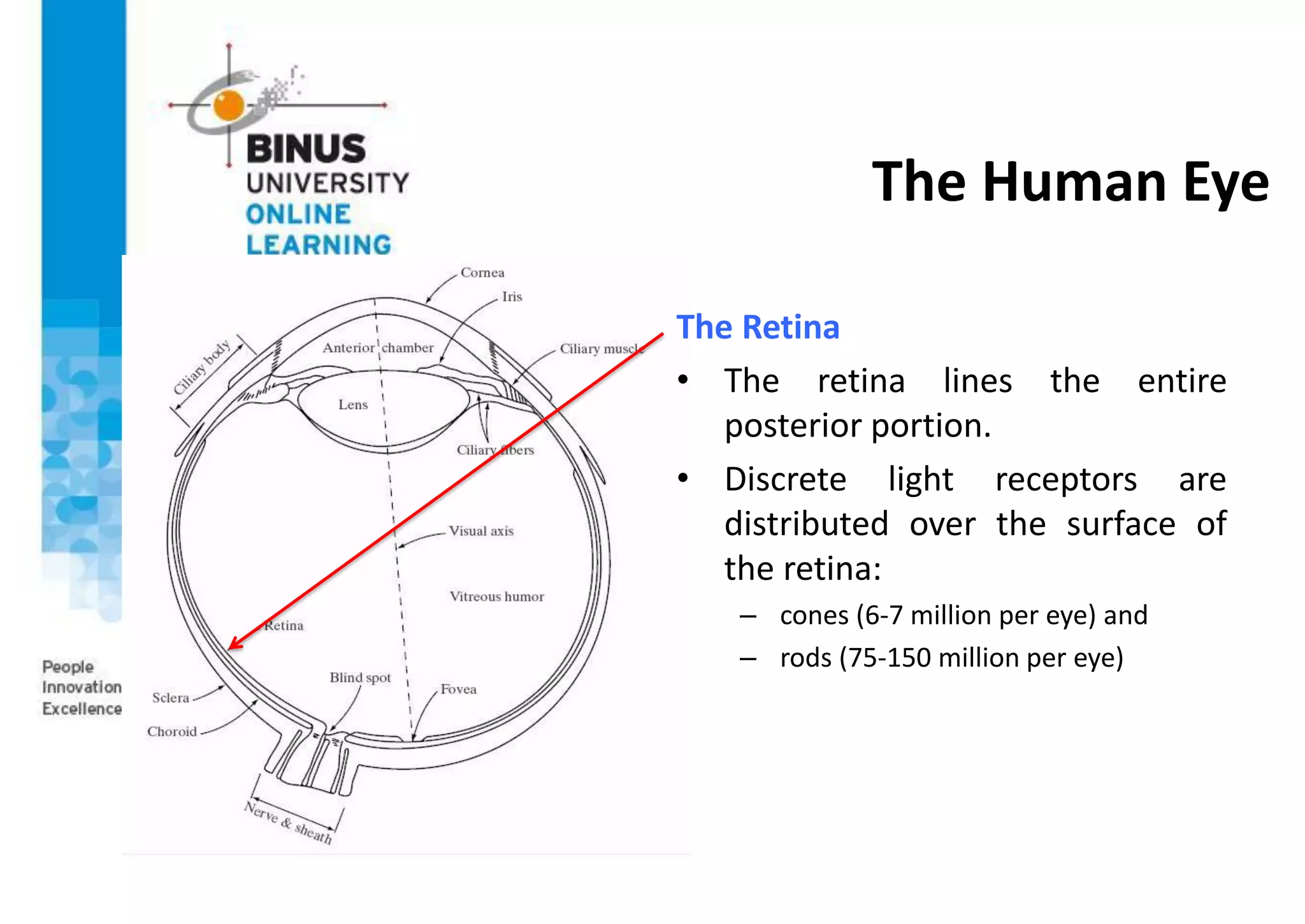 PPT s02-machine vision-s2 | PPT