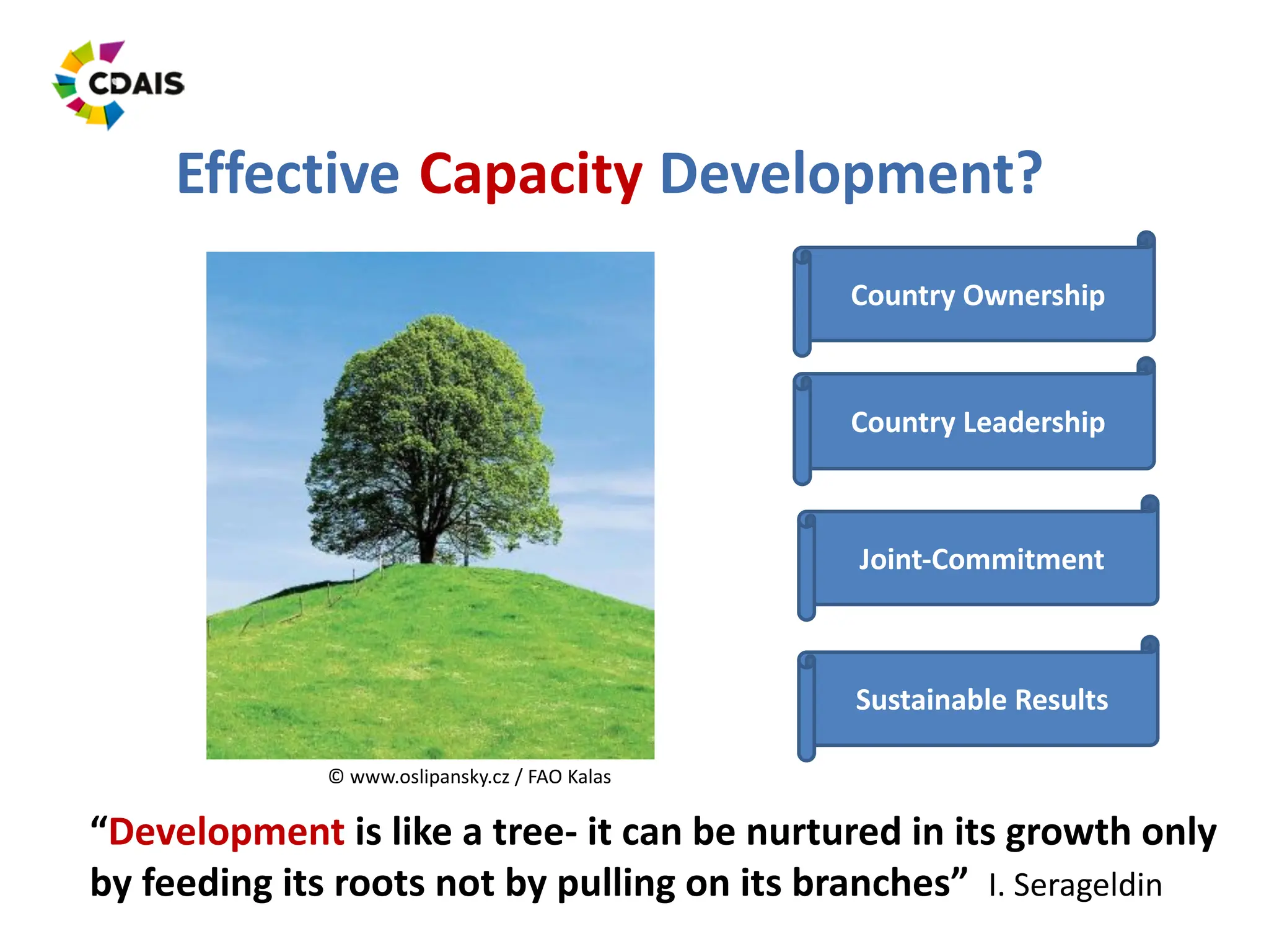 PPT-S3a.-What-is-capacity_definitionFAO.pdf