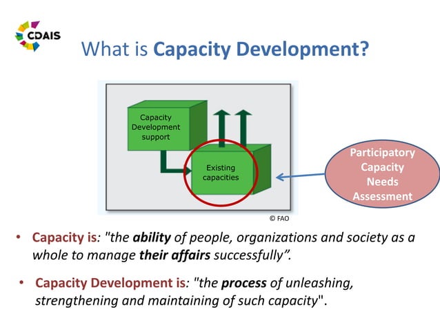 PPT-S3a.-What-is-capacity_definitionFAO.pdf